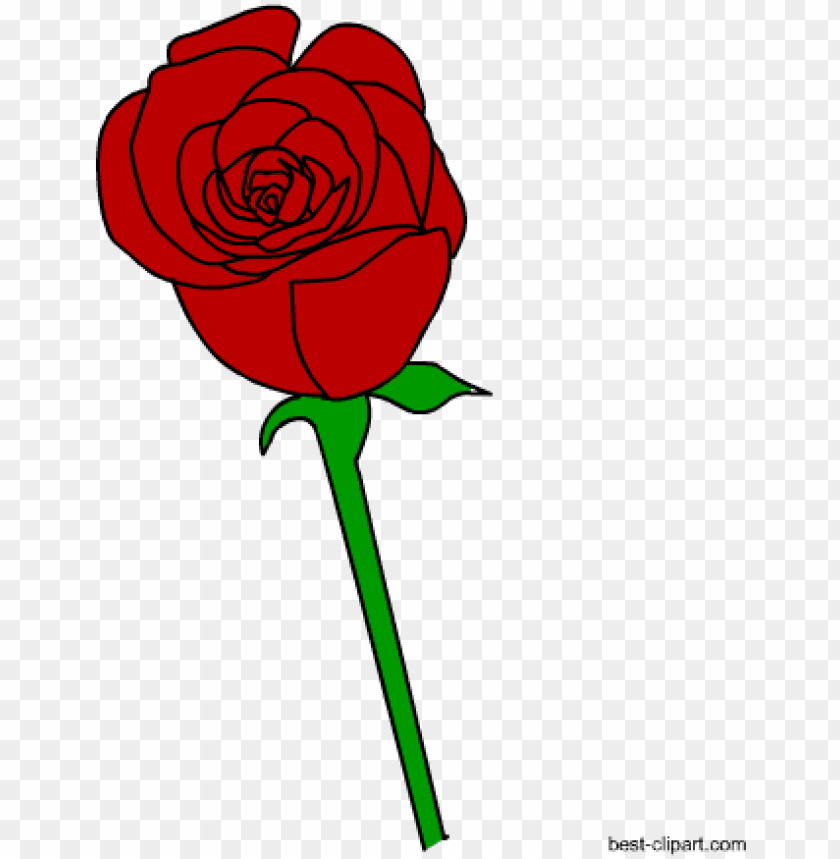 Free download | HD PNG free red rose clip art rose PNG transparent with ...