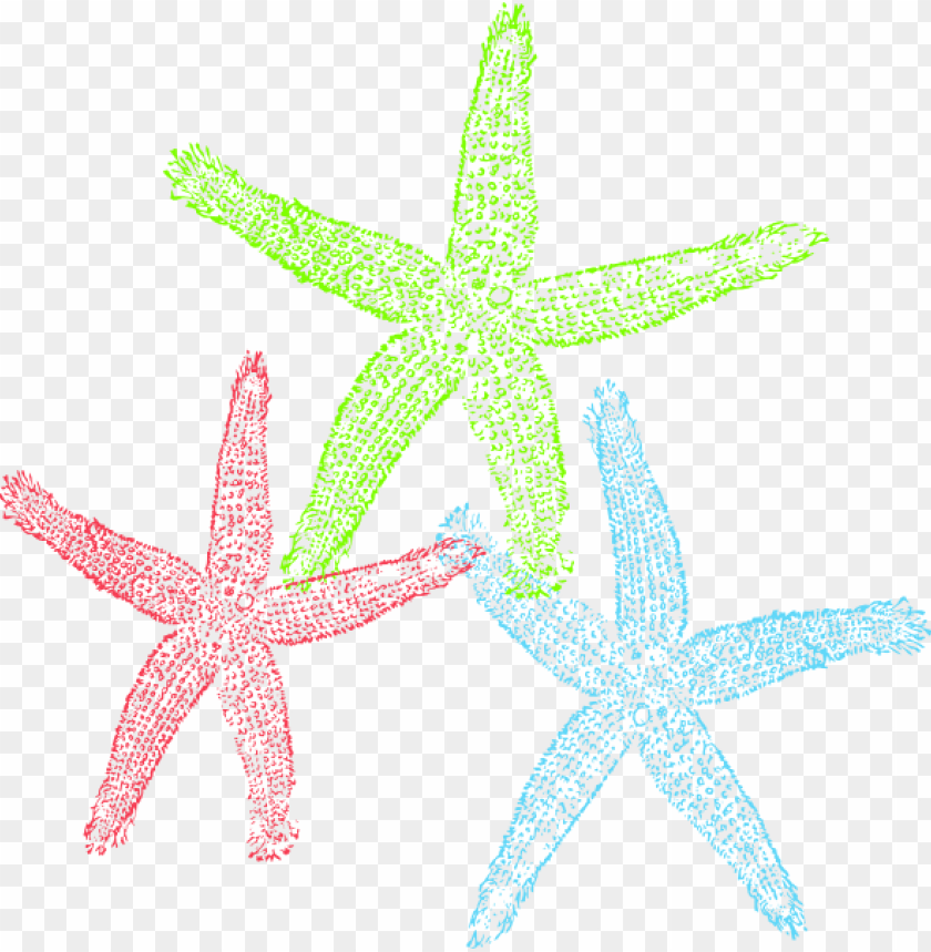 Free download | HD PNG glittering starfish set in pastel colors PNG ...