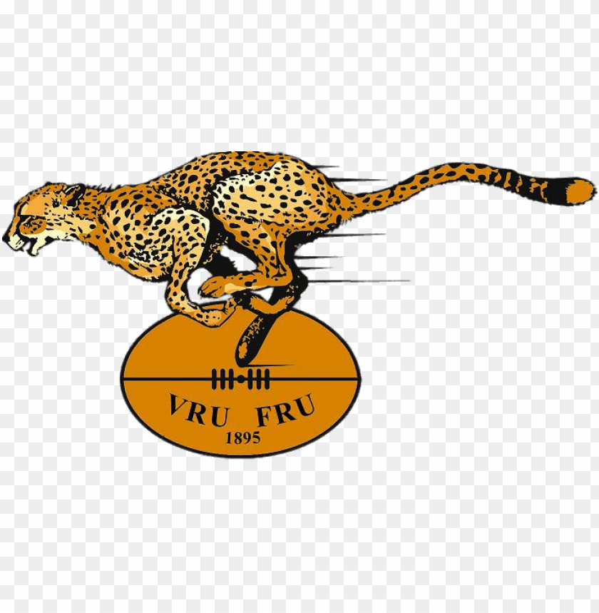 Free download | HD PNG free state cheetahs rugby logo png | TOPpng