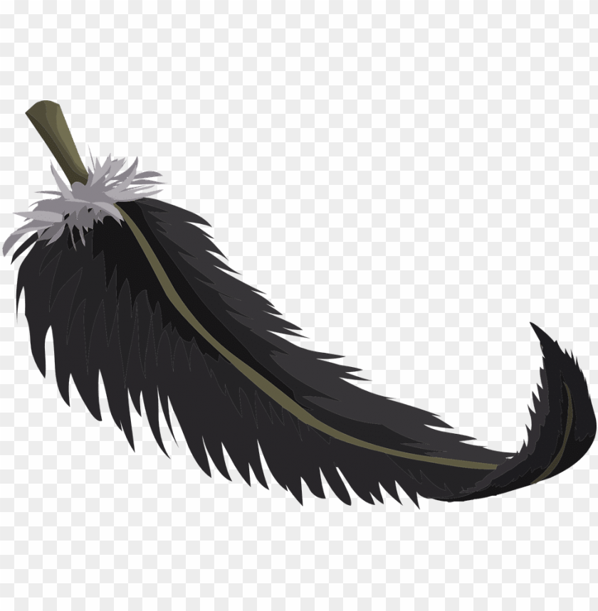 Free download | HD PNG free vector graphic quill clipart PNG ...