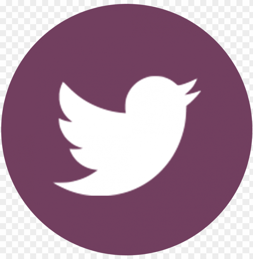 Free download | HD PNG freetwitter icon PNG transparent with Clear ...