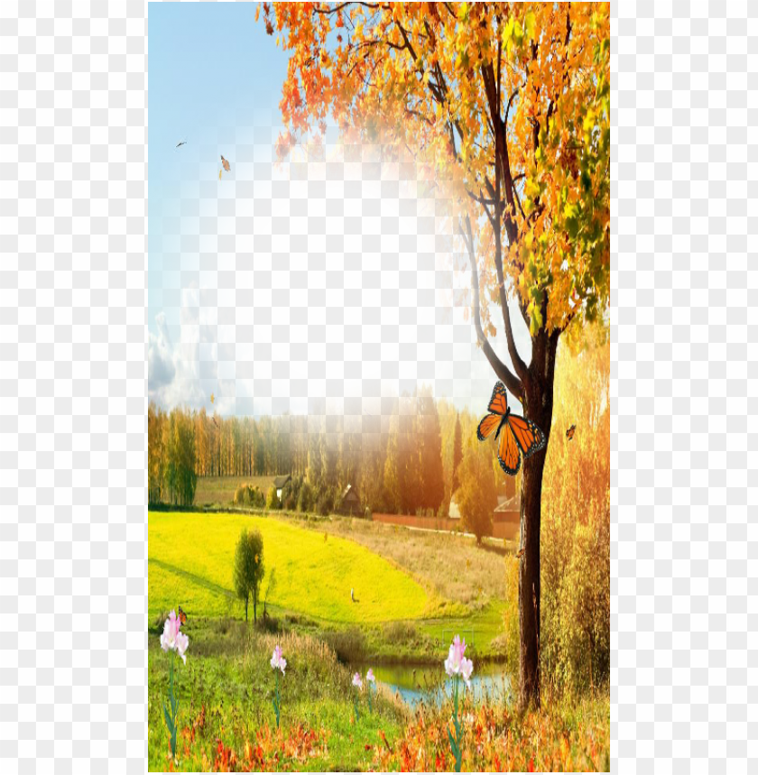 Free download | HD PNG freeuse library nature beauty photo frame app ...