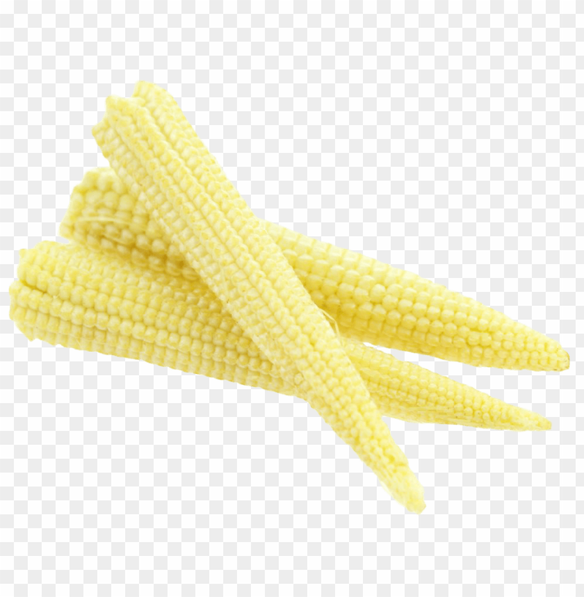 Free download | HD PNG fresh baby corn PNG images with transparent ...