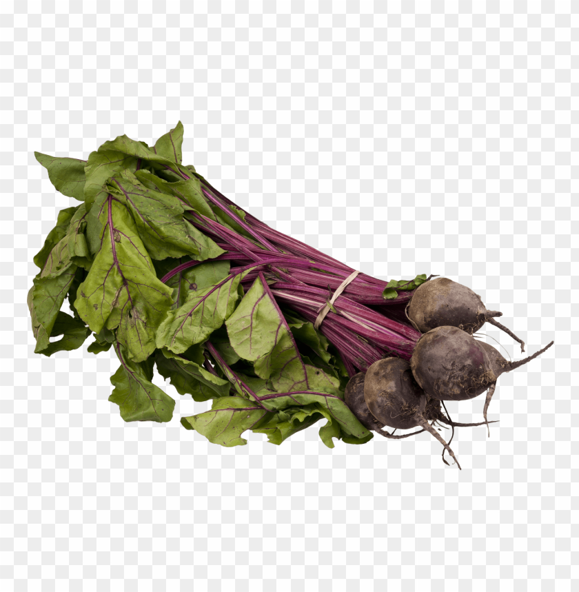 Free download | HD PNG fresh beetroot PNG images with transparent ...