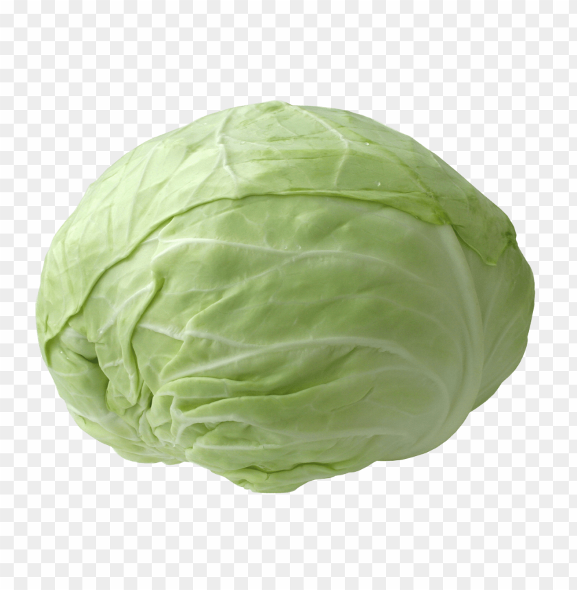 Free download | HD PNG fresh cabbage PNG images with transparent ...