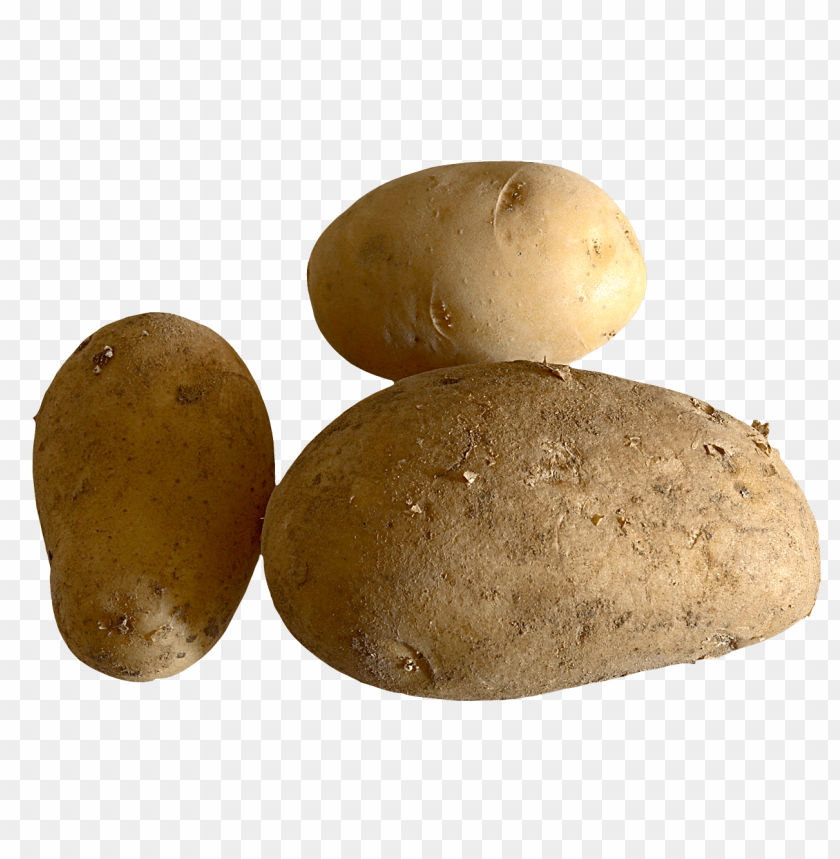 Free download | HD PNG fresh potato PNG images with transparent ...