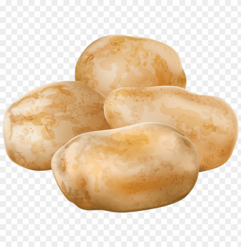 Free download | HD PNG Transparent fresh potatoes with smooth yellow ...
