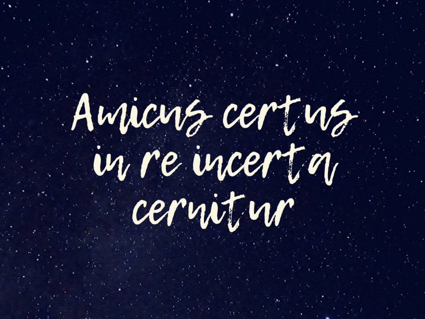 Free download | HD PNG friends friendship proverb wisdom inscription 4k ...