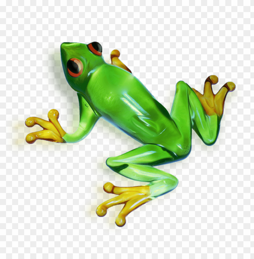 Free download | HD PNG bright green frog jumping with yellow spots on ...