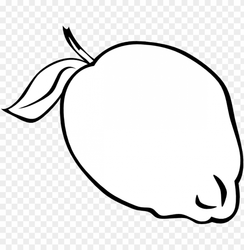 Free download | HD PNG fruit outlines PNG transparent with Clear ...