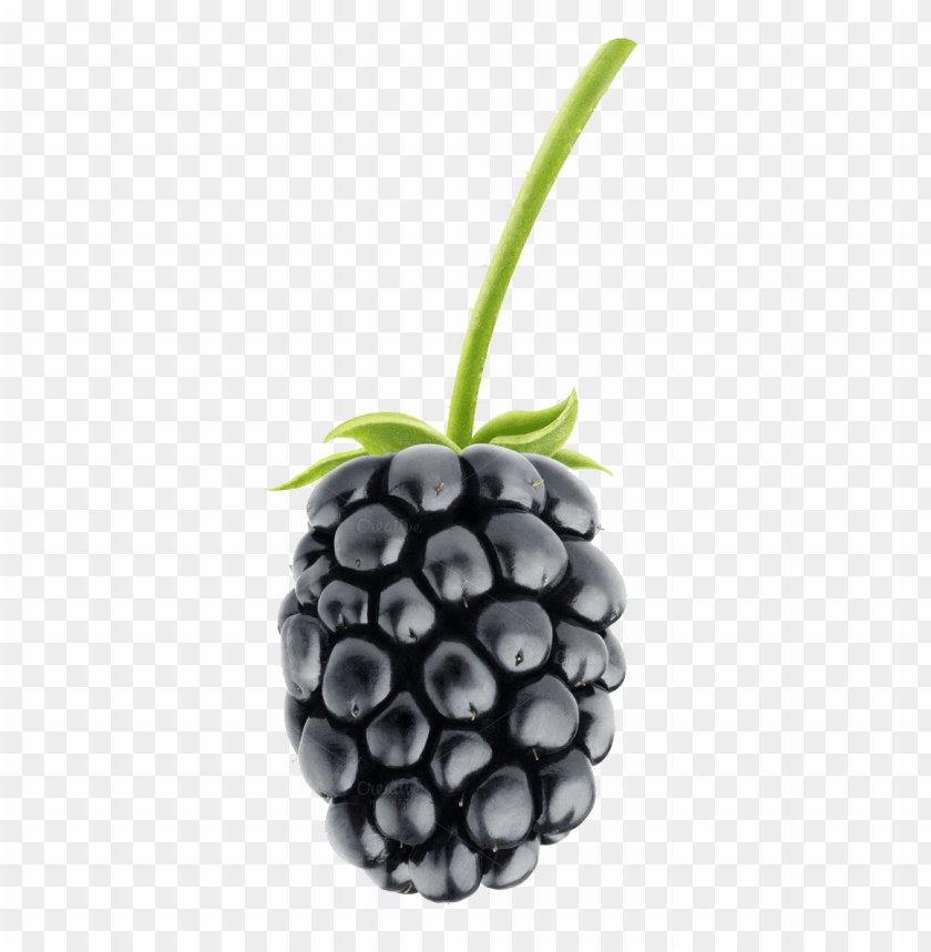Free download | HD PNG fruit png PNG transparent with Clear Background ...