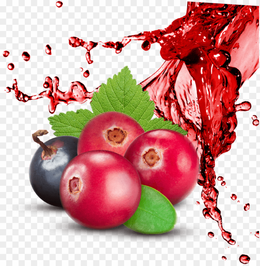 Free download | HD PNG fruit splash png PNG transparent with Clear ...
