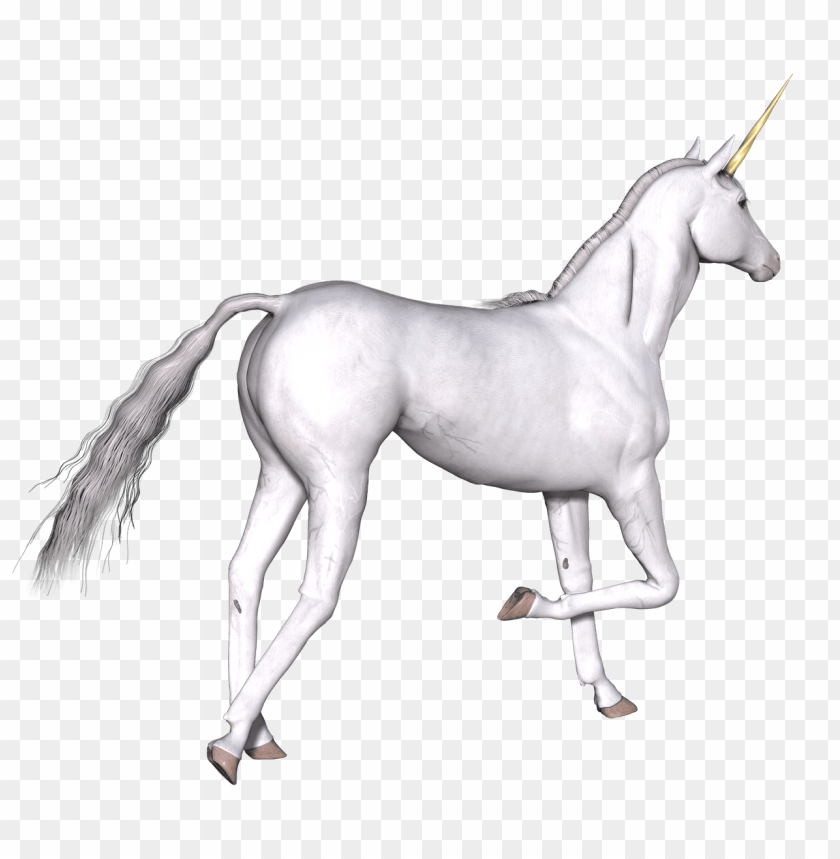 Free download | HD PNG full white unrn right leg up PNG transparent ...