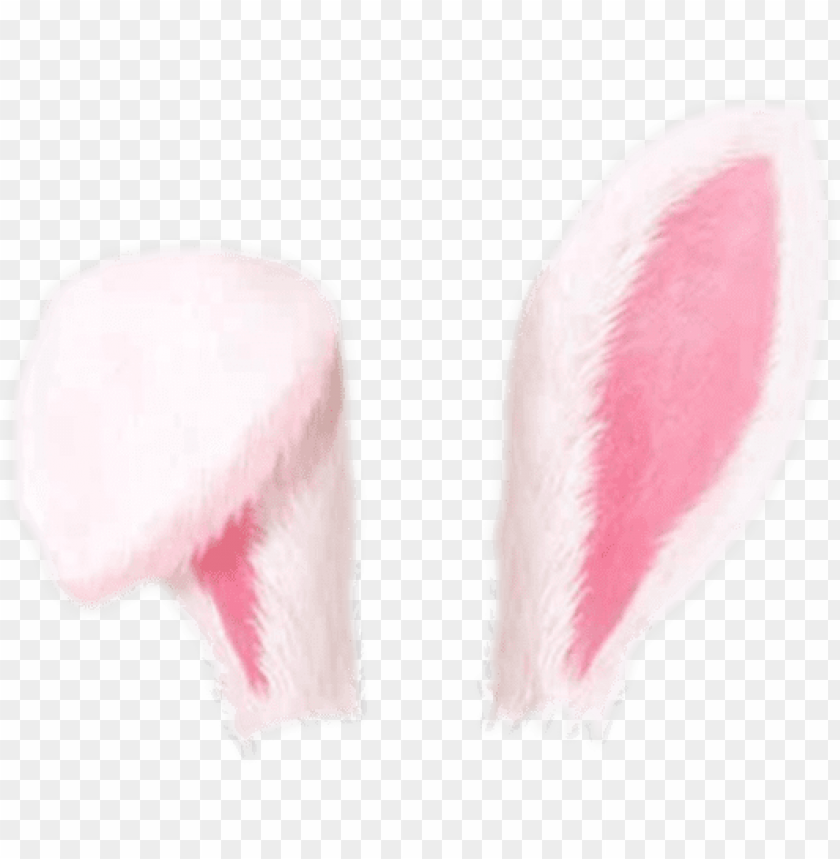 Free download | HD PNG funny camera effects filters snow messages ...