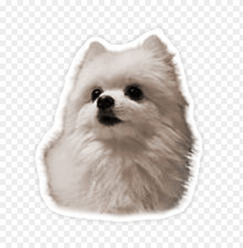 Free download | HD PNG gabe the dog sticker PNG transparent with Clear ...