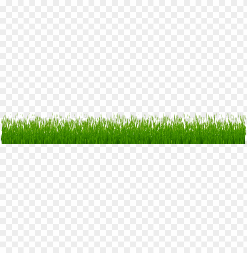 Free download | HD PNG garden grass png clipart png photo - 31377 | TOPpng
