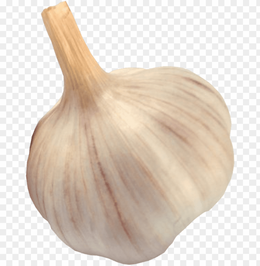 Free download | HD PNG garlic png PNG transparent with Clear Background ...
