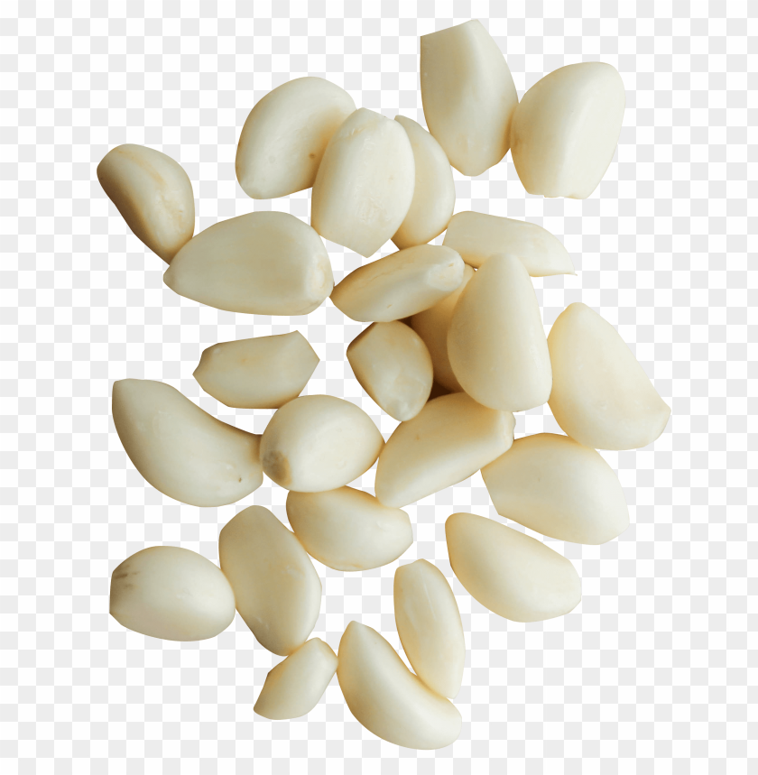 Free download | HD PNG garlic png PNG transparent with Clear Background ...