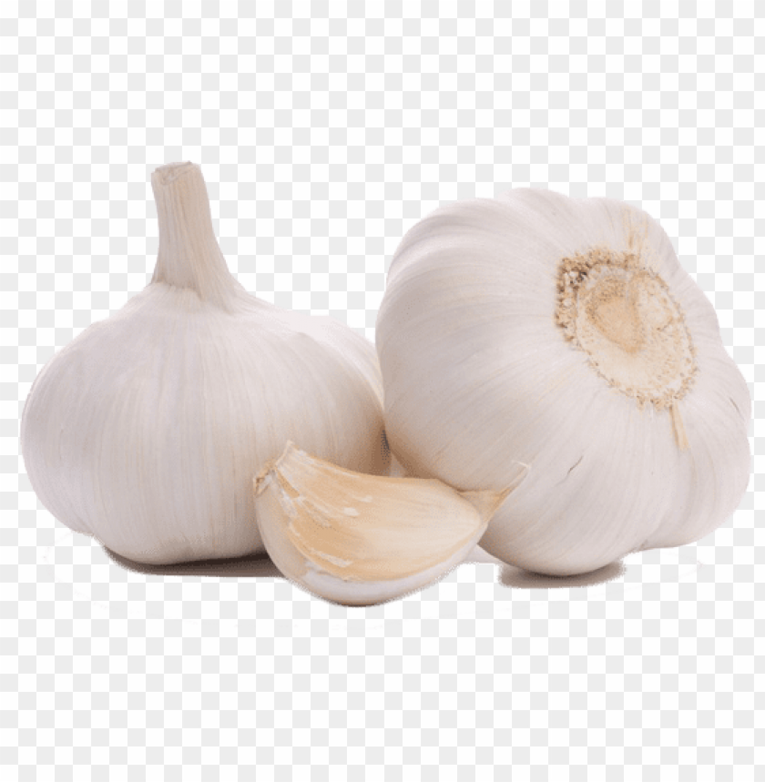 Free download | HD PNG garlic png PNG transparent with Clear Background ...