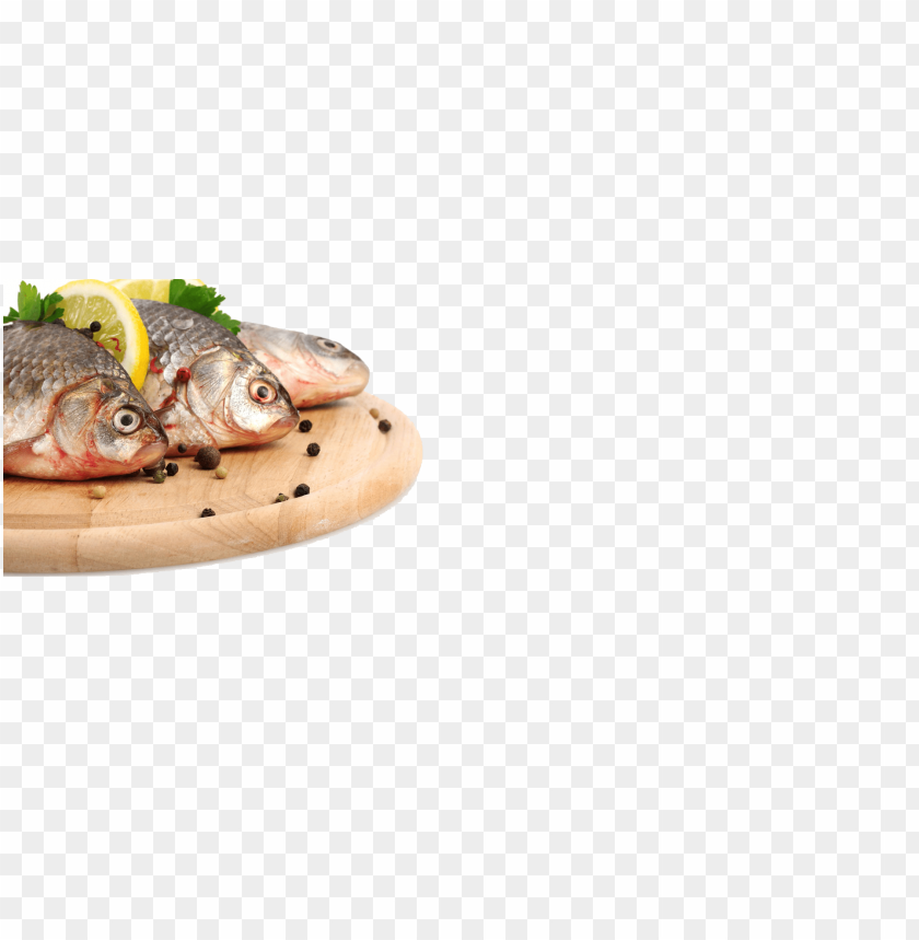 Free download | HD PNG ghol fish | TOPpng