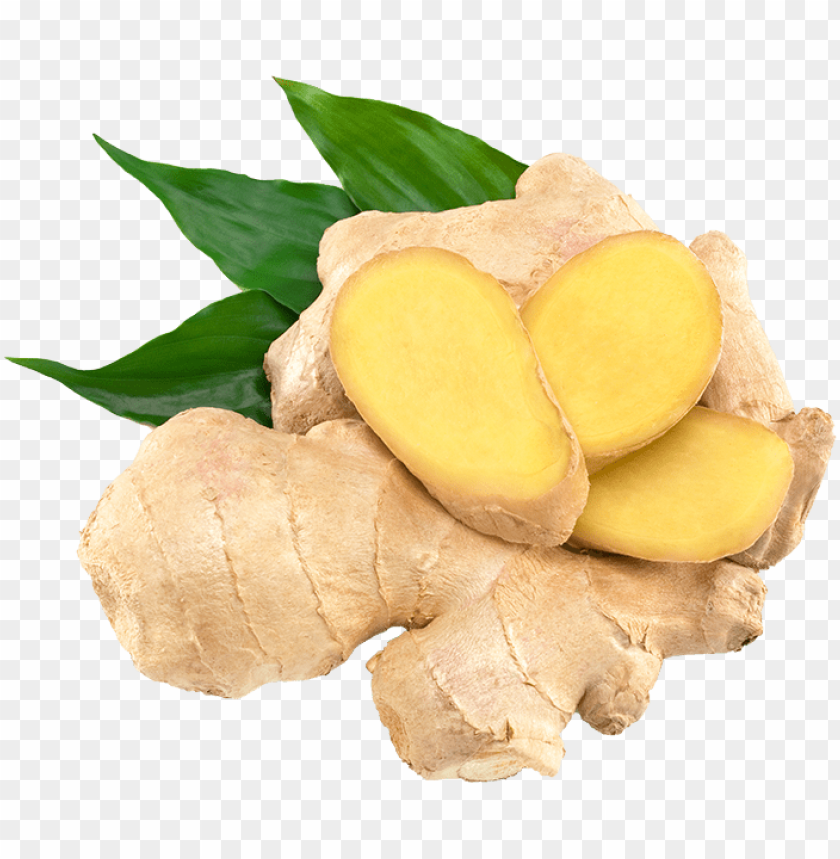 Free download | HD PNG ginger root and slices png PNG images with ...