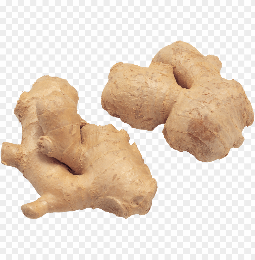 Free download | HD PNG Download ginger png images background | TOPpng