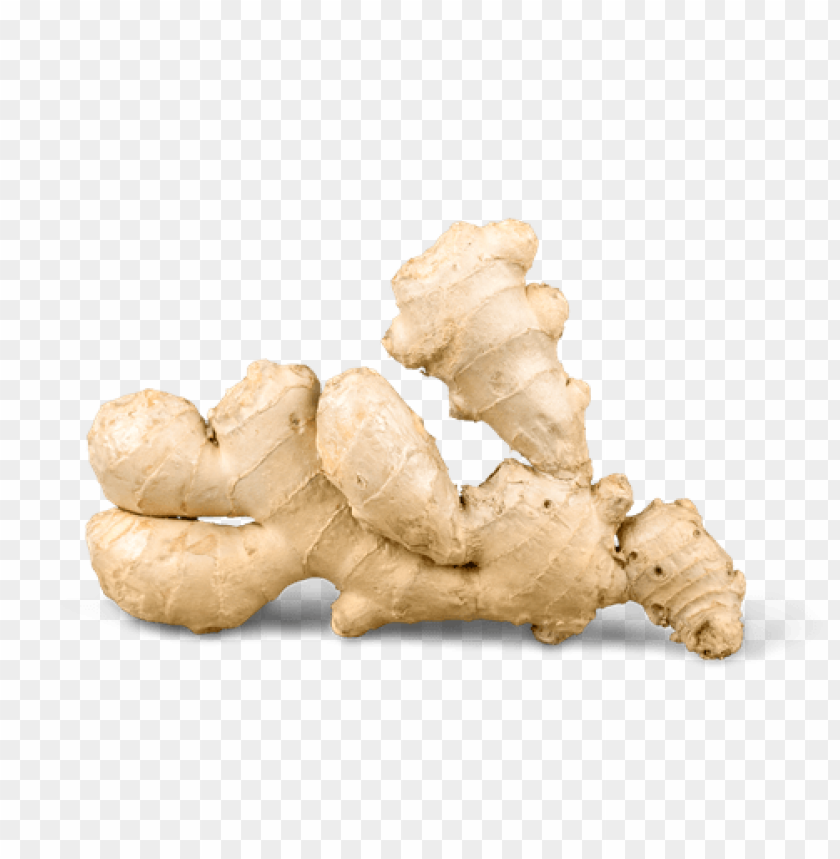 Free download | HD PNG chopped ginger root png PNG images with ...