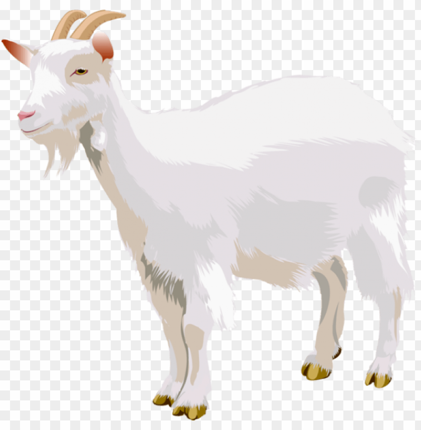 Free download | HD PNG goat png images background - Image ID 2915 | TOPpng