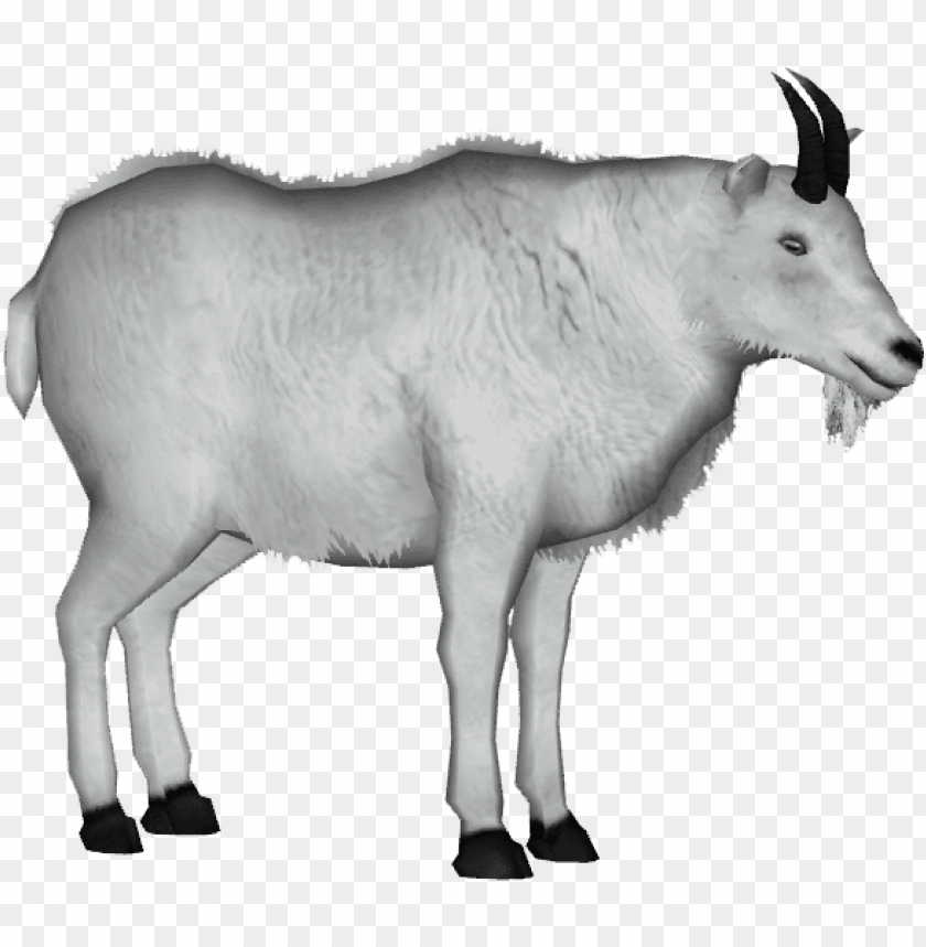 Free download | HD PNG goat png | TOPpng