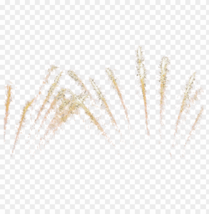 Free download | HD PNG gold fireworks png PNG transparent with Clear ...