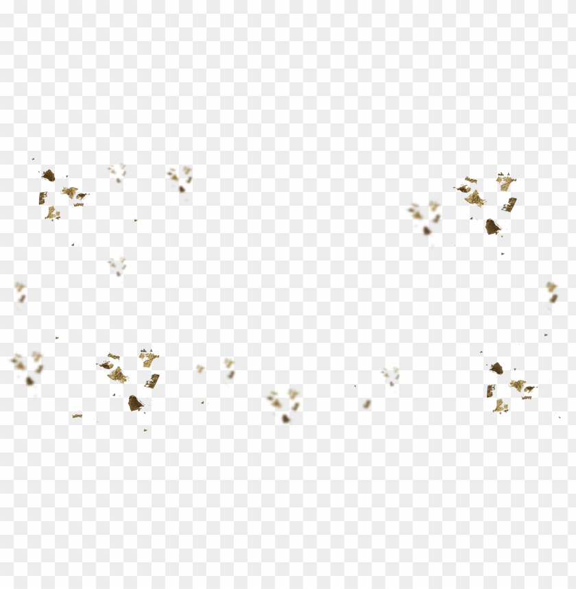 Free download | HD PNG gold flakes PNG transparent with Clear ...
