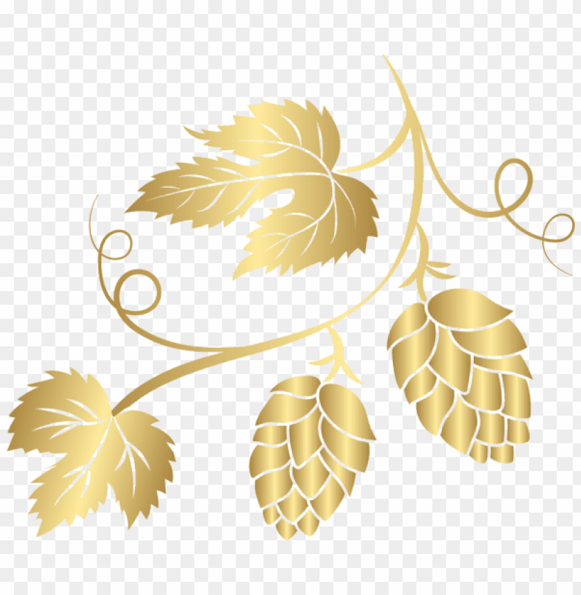 Free download | HD PNG gold hop transparent clipart png photo - 45742 ...