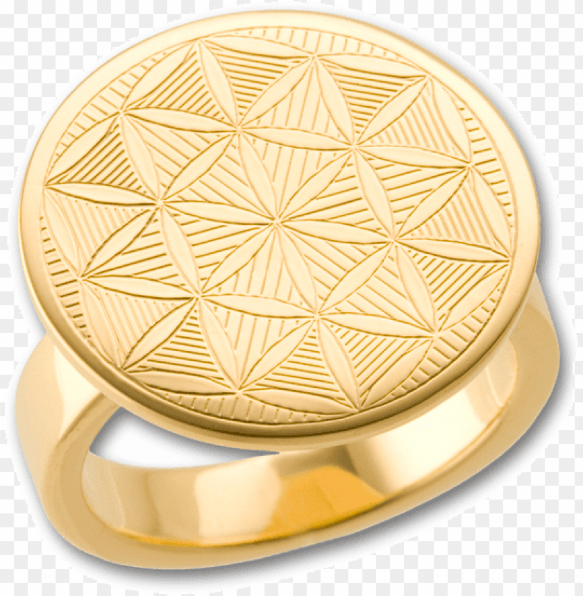 Free download | HD PNG gold plate png PNG transparent with Clear ...
