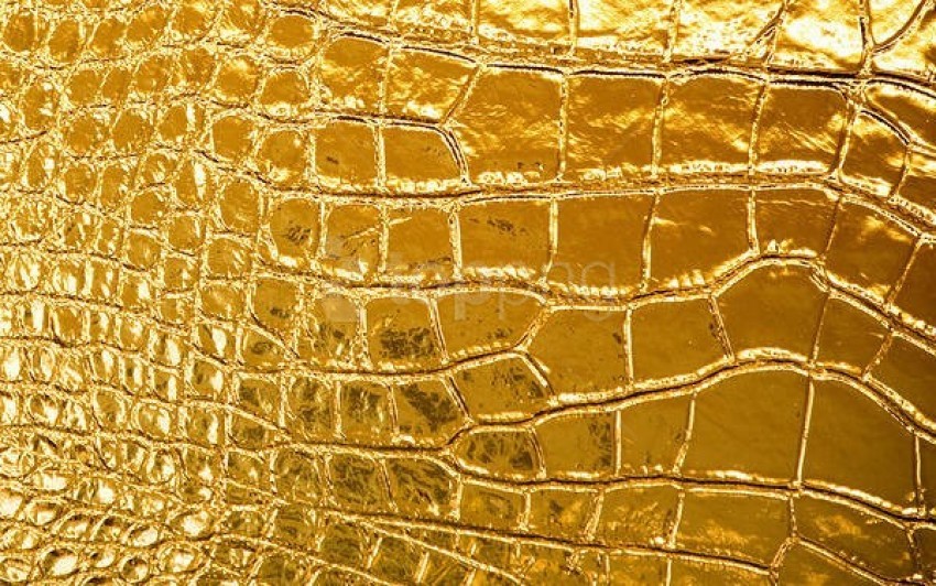 Free download | HD PNG gold skin 4k wallpaper background best stock ...