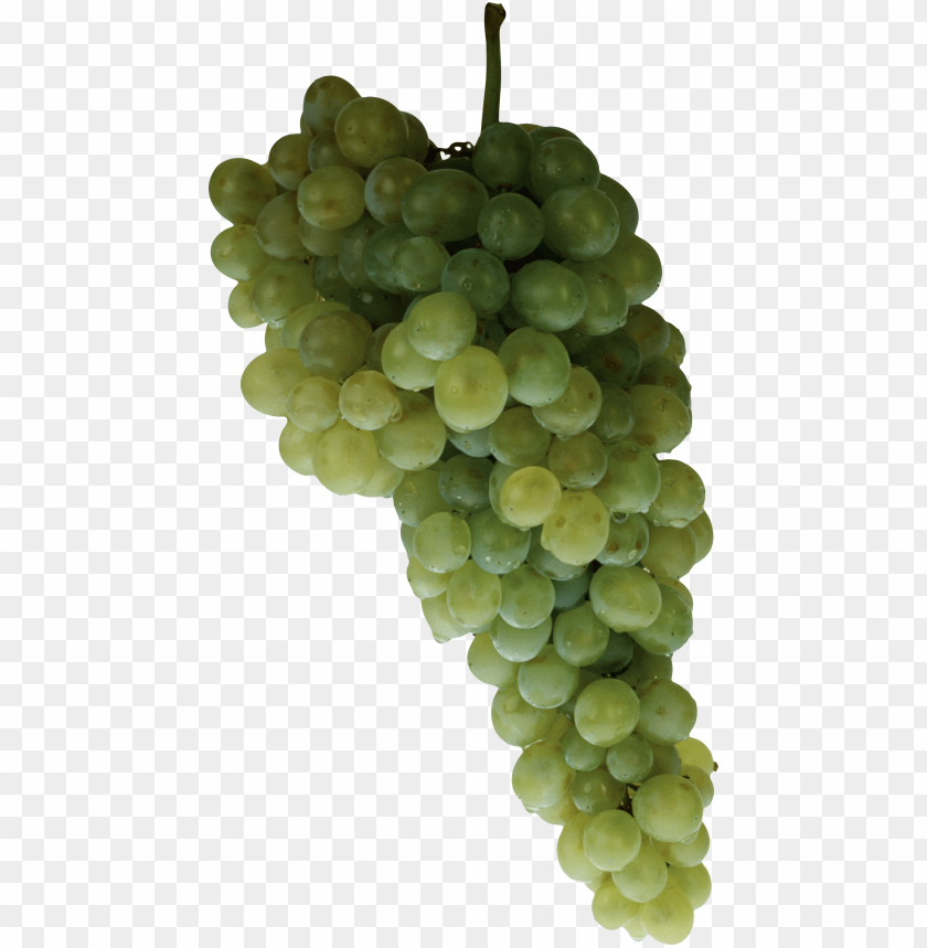 Free download | HD PNG grape PNG images with transparent backgrounds ...