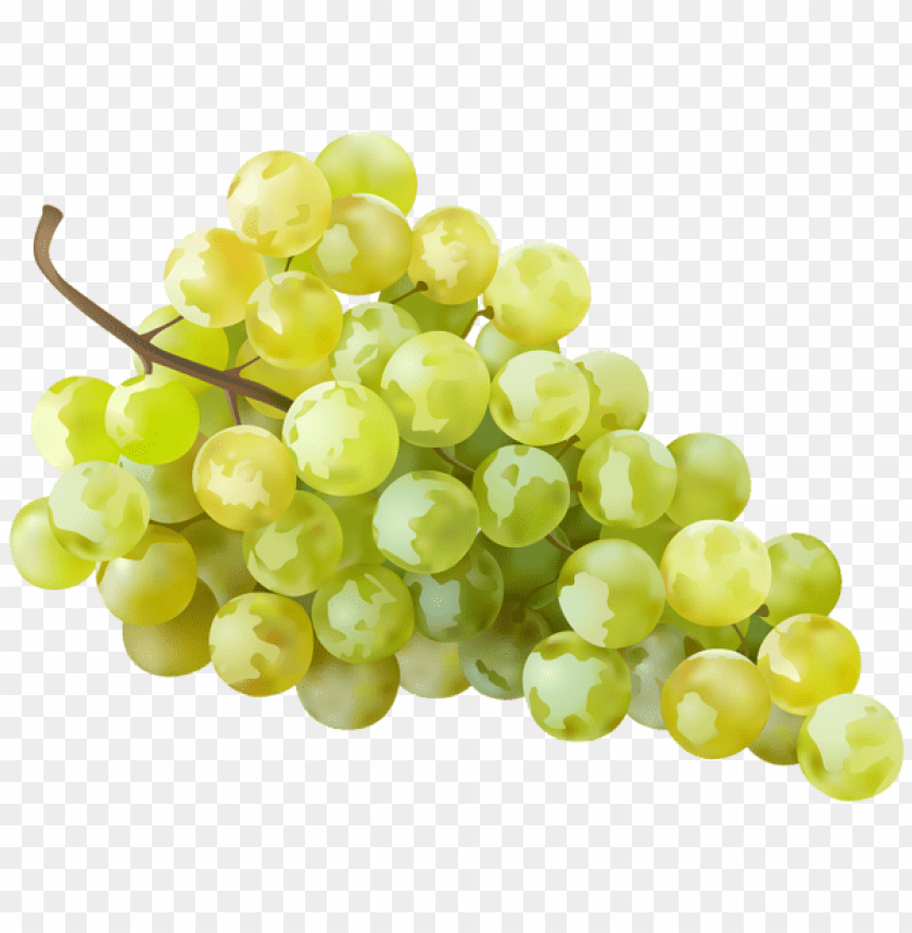 Free download | HD PNG yellowish green grapes with realistic finish ...