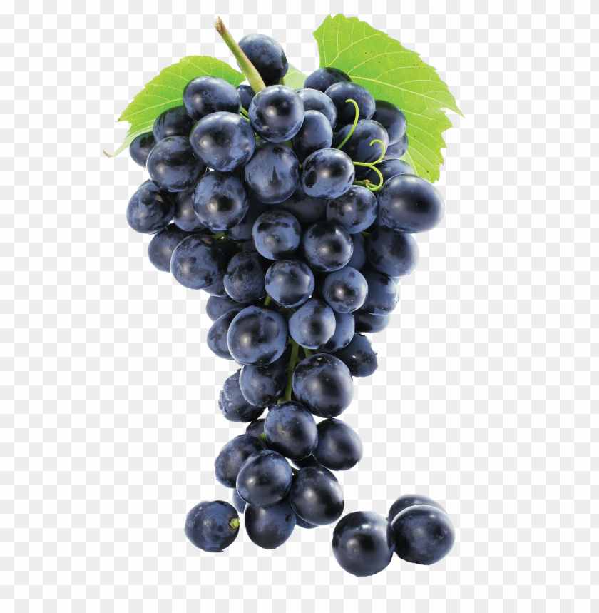 Free download | HD PNG grapes PNG images with transparent backgrounds - Image ID 13684 | TOPpng