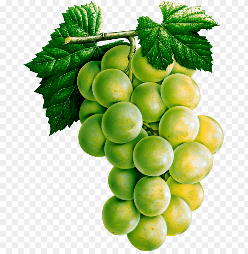 Free download | HD PNG grapes clipart png photo - 30528 | TOPpng