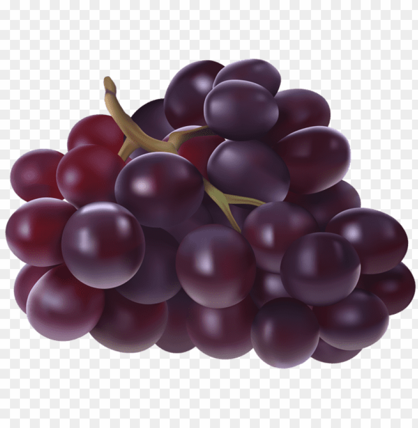 Free download | HD PNG grapes png - Free PNG Images ID 50073 | TOPpng