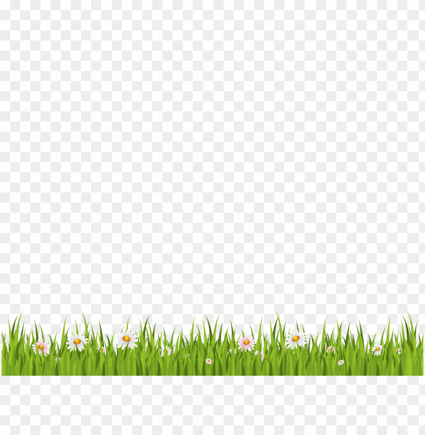 Free download | HD PNG PNG image of low green grass patch png with a ...