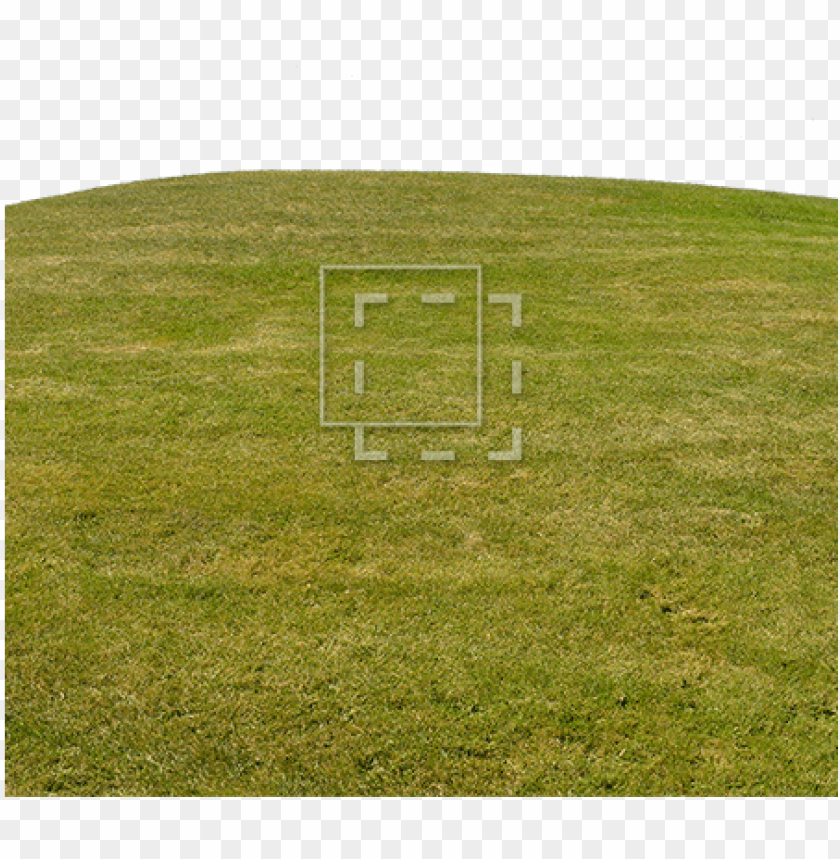 Free download | HD PNG grass PNG transparent with Clear Background ID ...