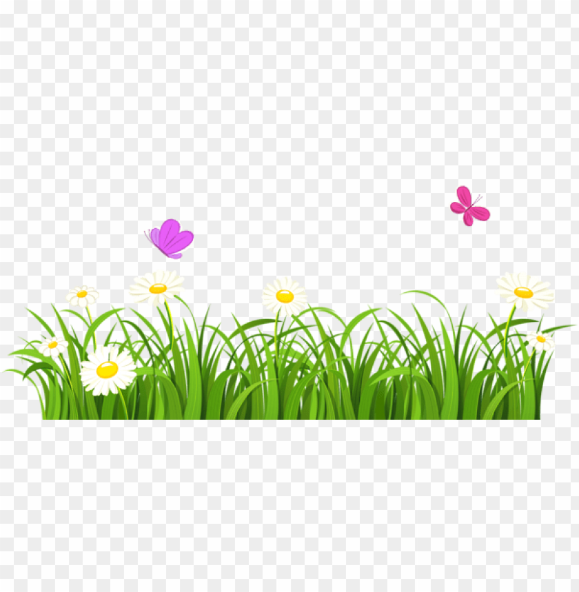 Free download | HD PNG PNG image of grass and butterflies with a clear ...
