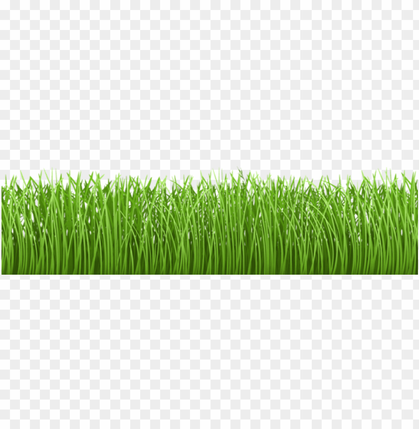 Free download | HD PNG PNG image of grass ground cover transparent with ...