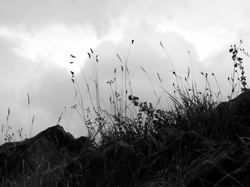 Free Download Hd Png Grass Stones Bw Hill Sky Clouds 4k Wallpaper Toppng