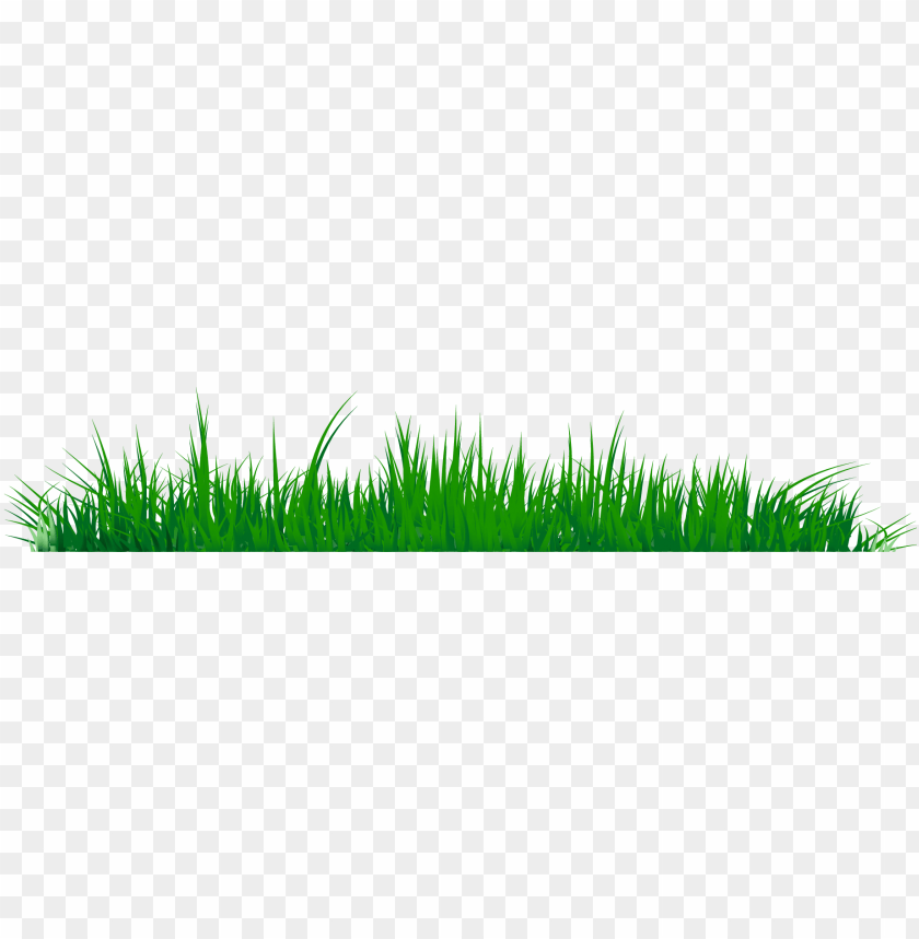 Free download | HD PNG grassof PNG transparent with Clear Background ID ...