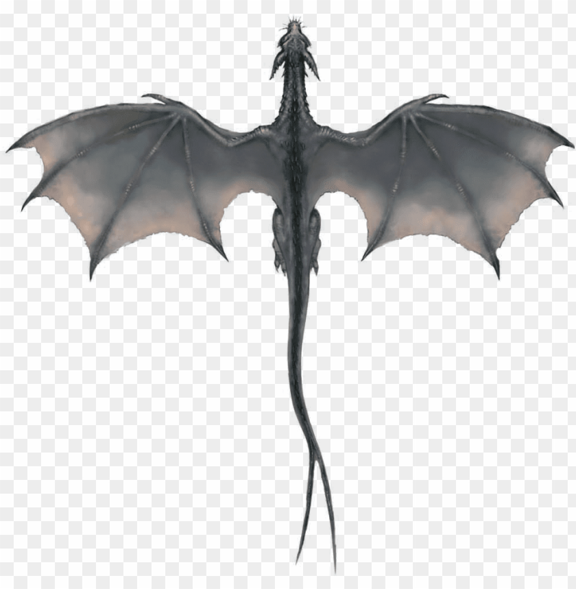 Free download | HD PNG gray dragon PNG transparent with Clear ...