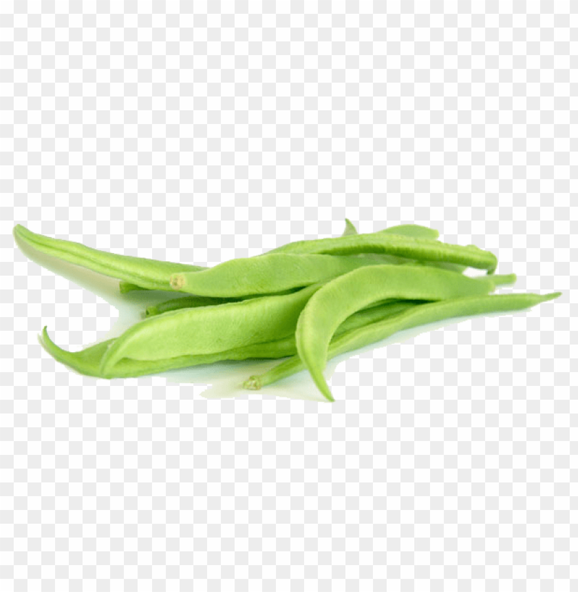 Free download | HD PNG Transparent green beans png PNG background ...