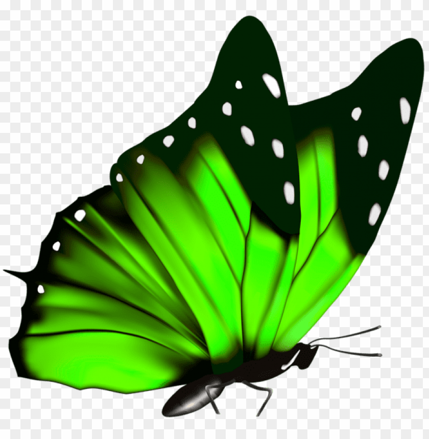 Free download | HD PNG green butterfly clipart png photo - 47589 | TOPpng