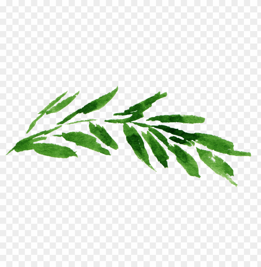 Free download | HD PNG green custom PNG transparent with Clear ...