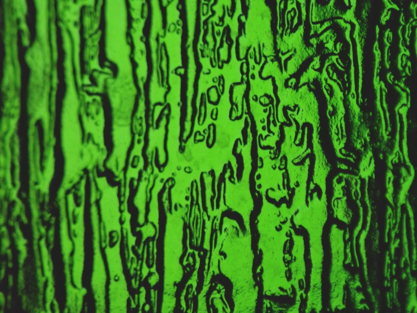 Free download | HD PNG green embossed texture surface 4k wallpaper | TOPpng